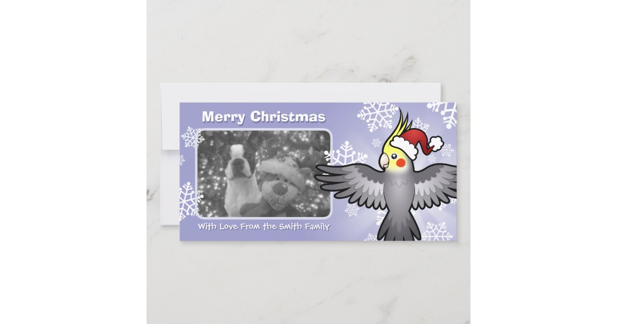 Christmas Cockatiel Holiday Card | Zazzle