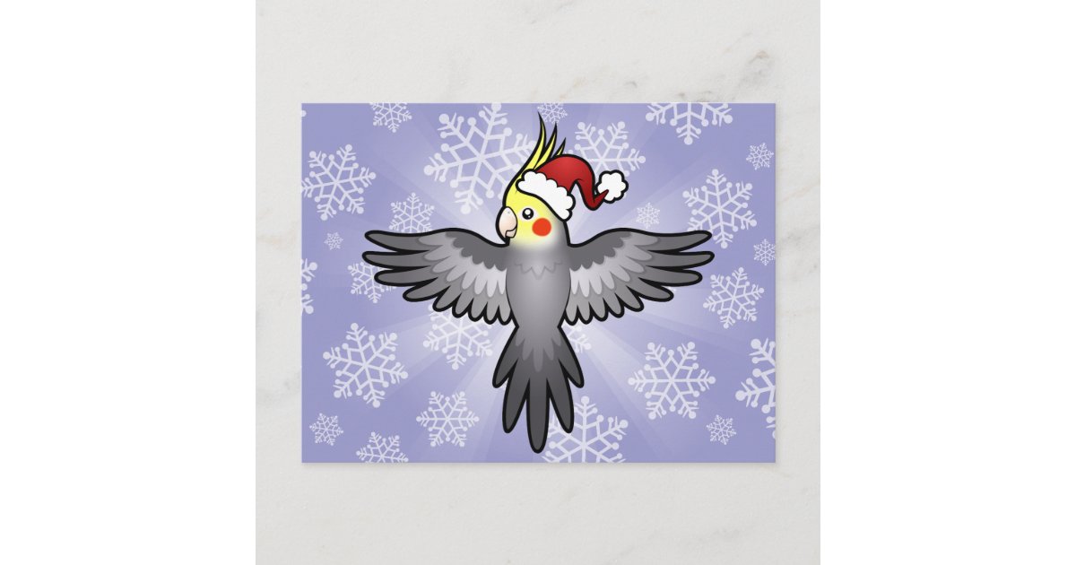 Christmas Cockatiel Holiday Postcard | Zazzle