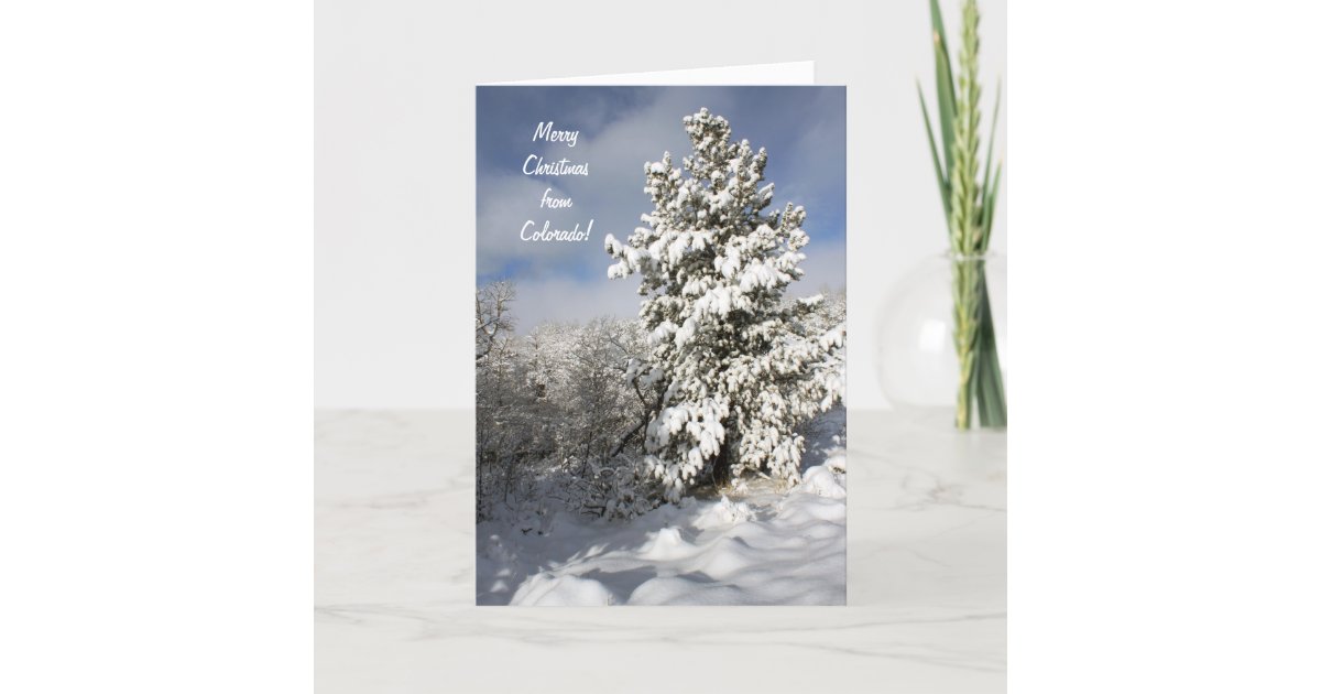 Christmas Colorado Card | Zazzle