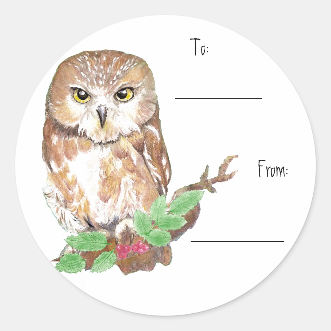 Christmas Cute Owl Gift Tag Sticker | Zazzle