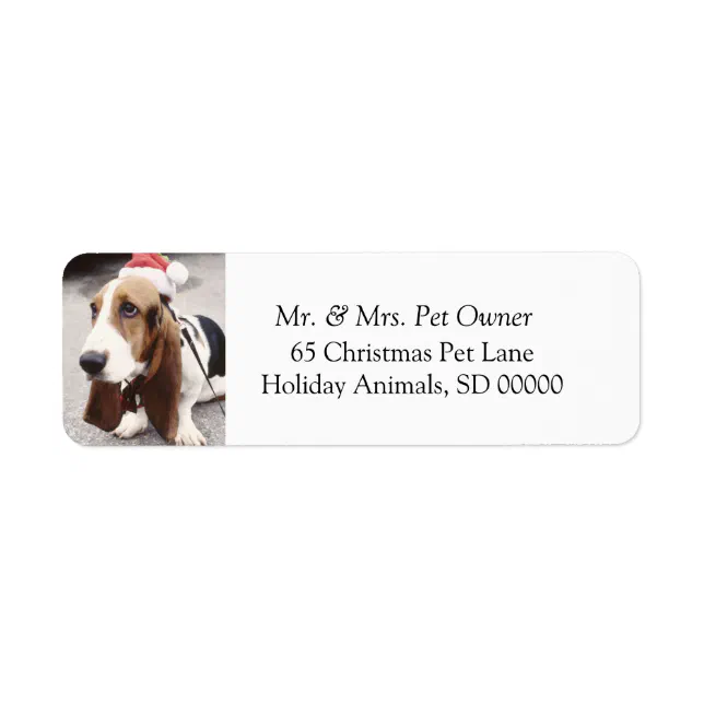 Christmas Dog Make Holiday Cards Address Label | Zazzle
