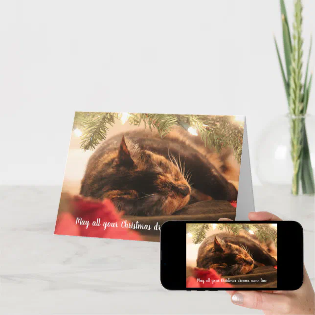 Christmas Dreams Sleeping Calico Cat, Peronalized Holiday Card | Zazzle
