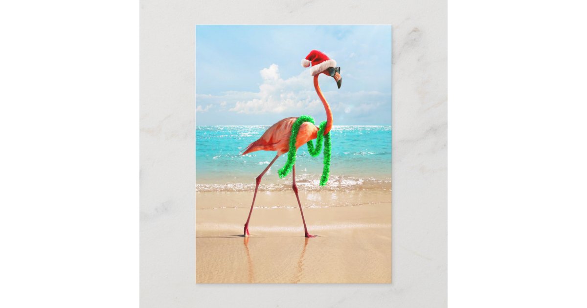 Christmas Flamingo on the Beach Invitation Postcard | Zazzle