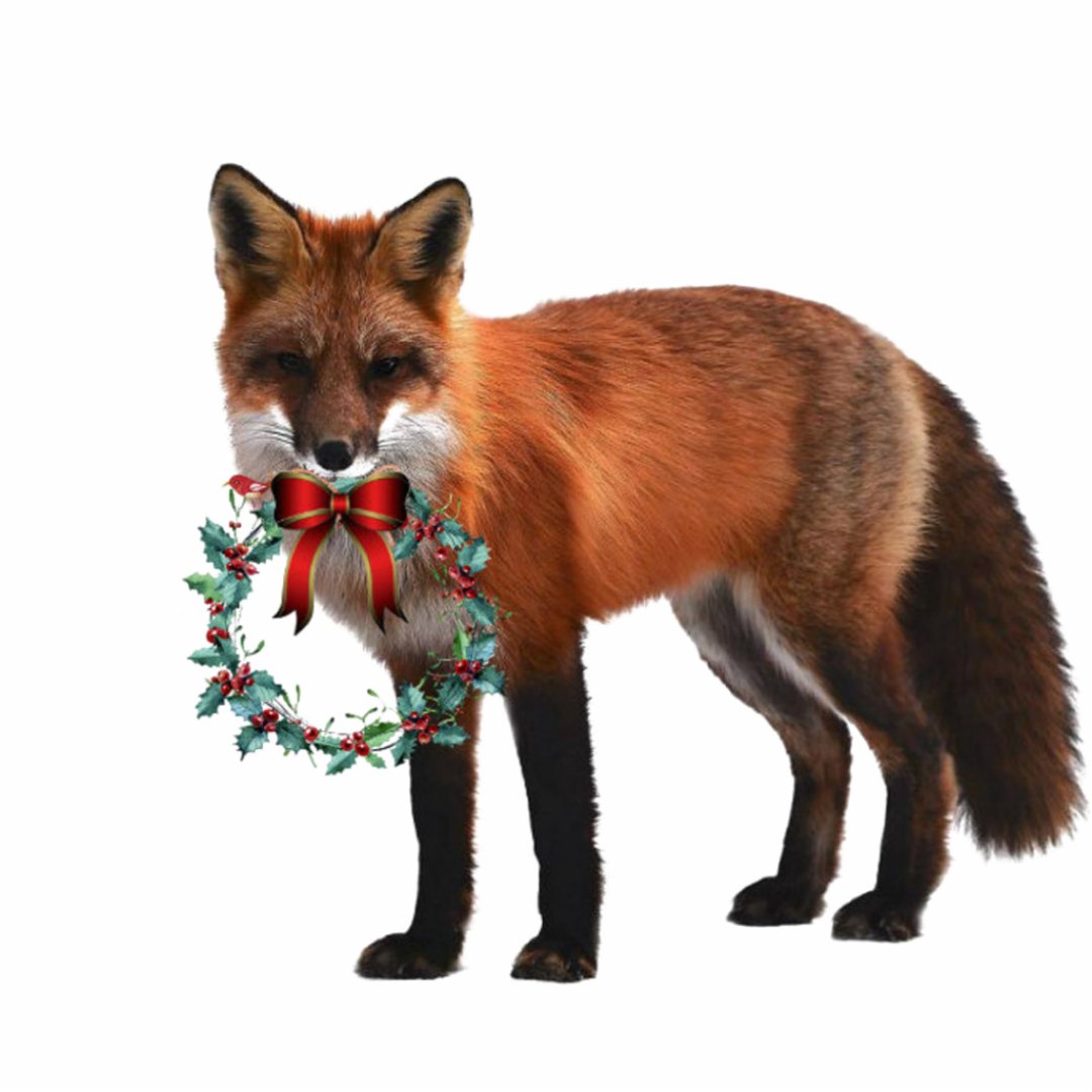 Christmas Fox with Wreath Photo Sculpture Ornament | Zazzle