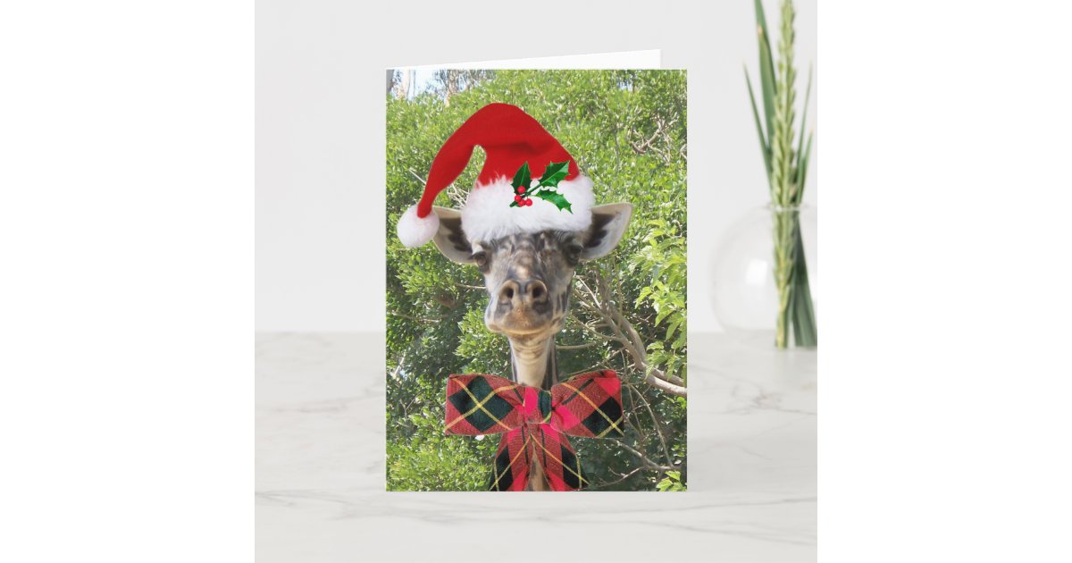 Christmas Giraffe Holiday Card | Zazzle