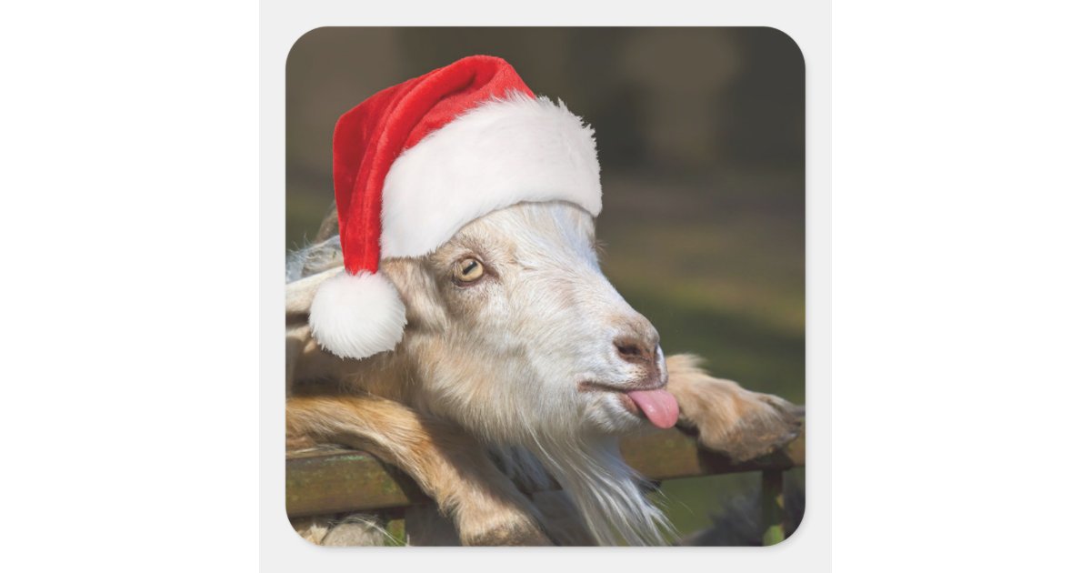 Christmas Goat Square Sticker | Zazzle