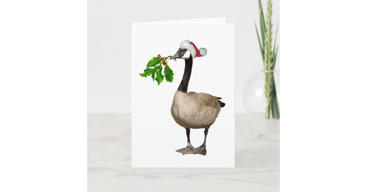 Christmas Goose Holiday Card | Zazzle