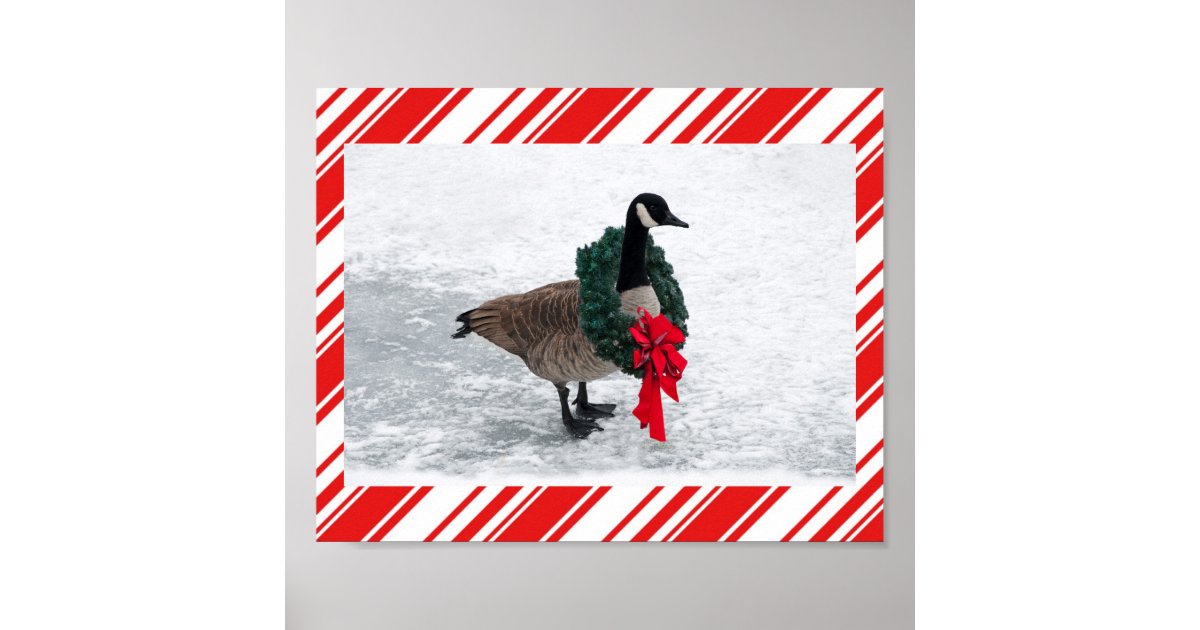 Christmas Goose with Wreath Poster | Zazzle