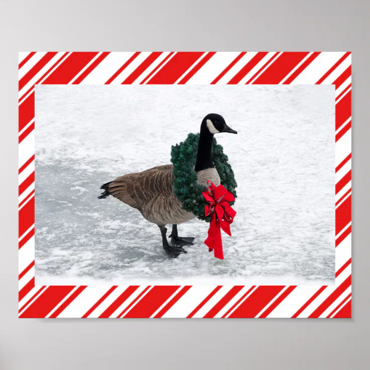 Christmas Goose with Wreath Poster | Zazzle