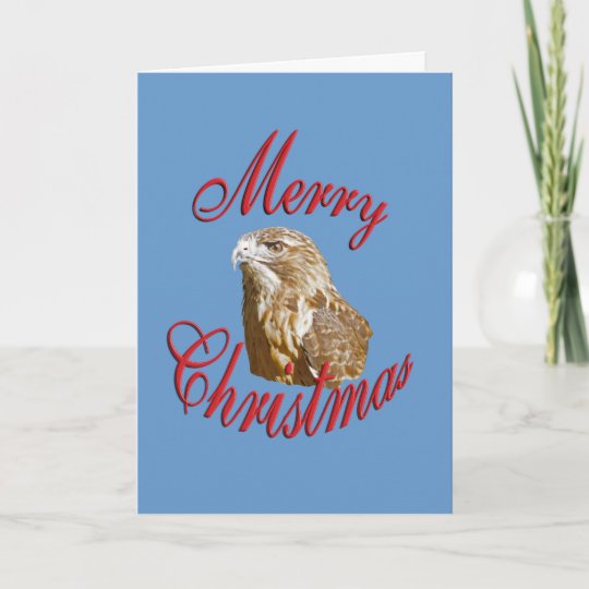 Christmas Hawk Holiday Card | Zazzle.com