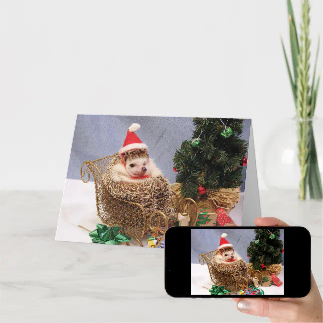 Christmas Hedgehog Card | Zazzle