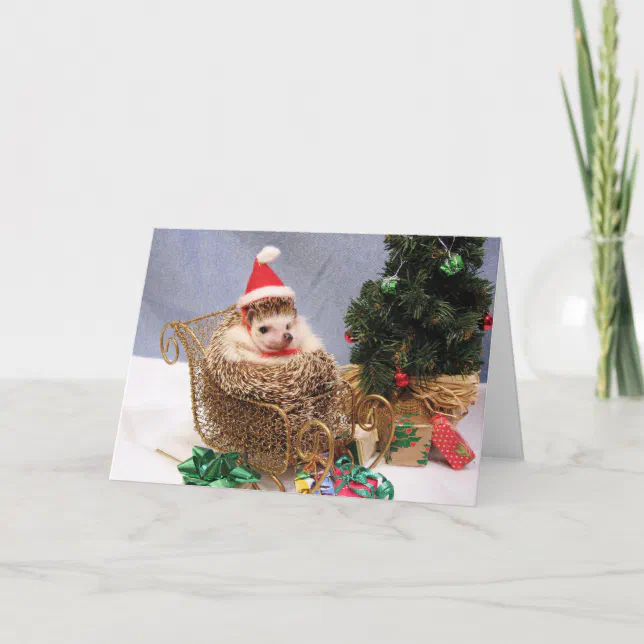 Christmas Hedgehog Card | Zazzle