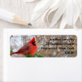 Christmas holiday cardinal branch address labels | Zazzle