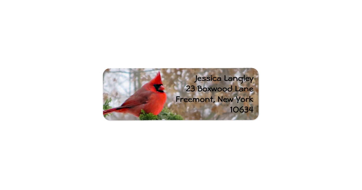 Christmas holiday cardinal branch address labels | Zazzle
