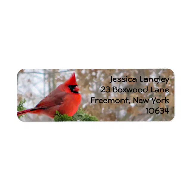 Christmas holiday cardinal branch address labels | Zazzle