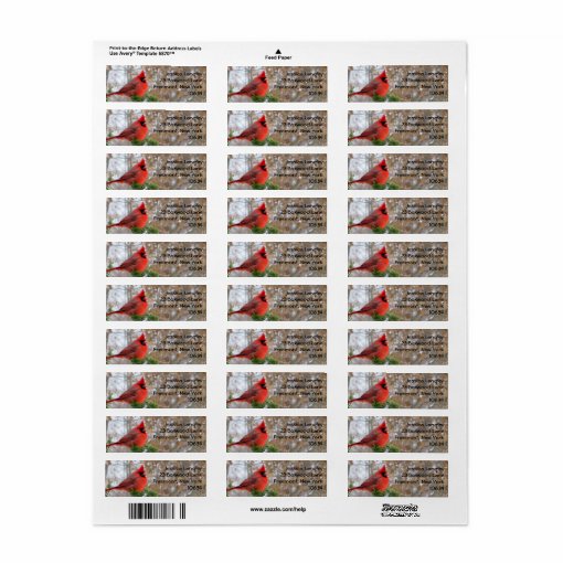 Christmas holiday cardinal branch address labels | Zazzle