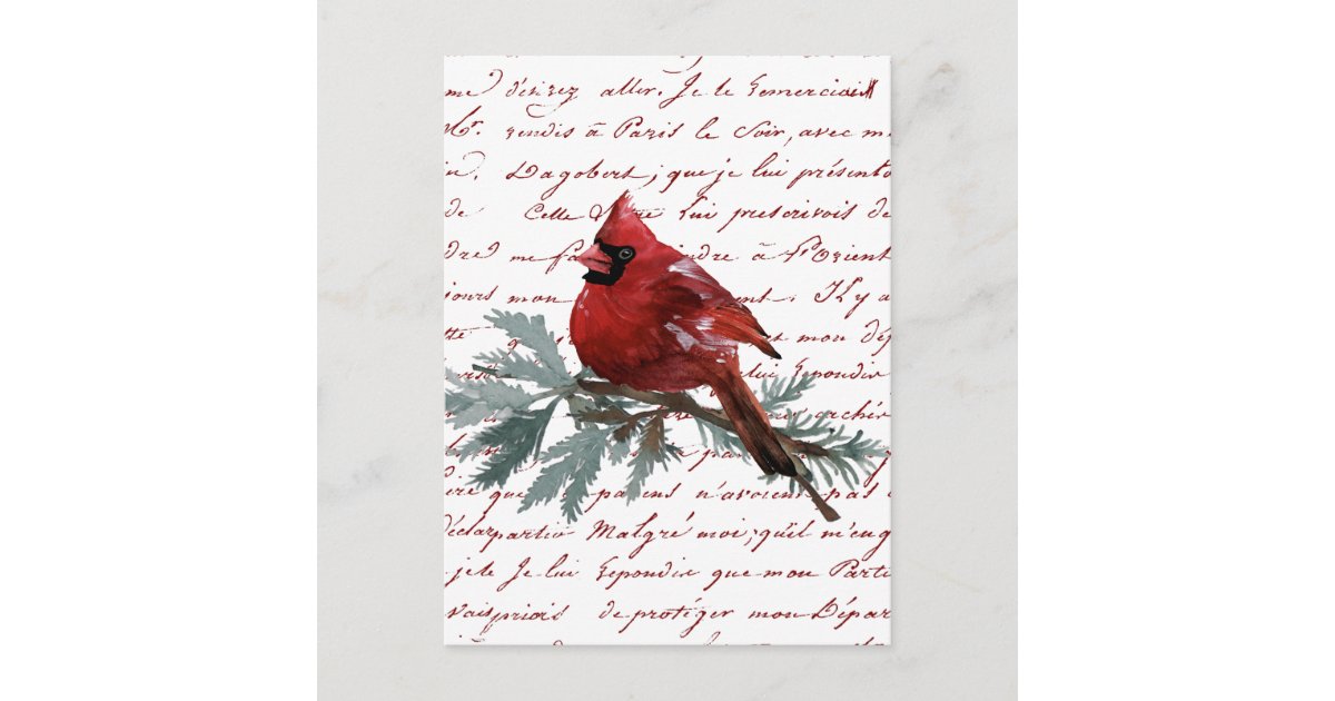Christmas Holiday Red Cardinal Bird French Script Postcard | Zazzle