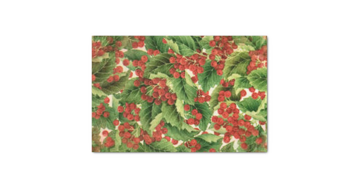 Christmas holly pattern tissue paper | Zazzle