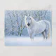 Christmas Horse Snow Lights Holiday Postcard | Zazzle