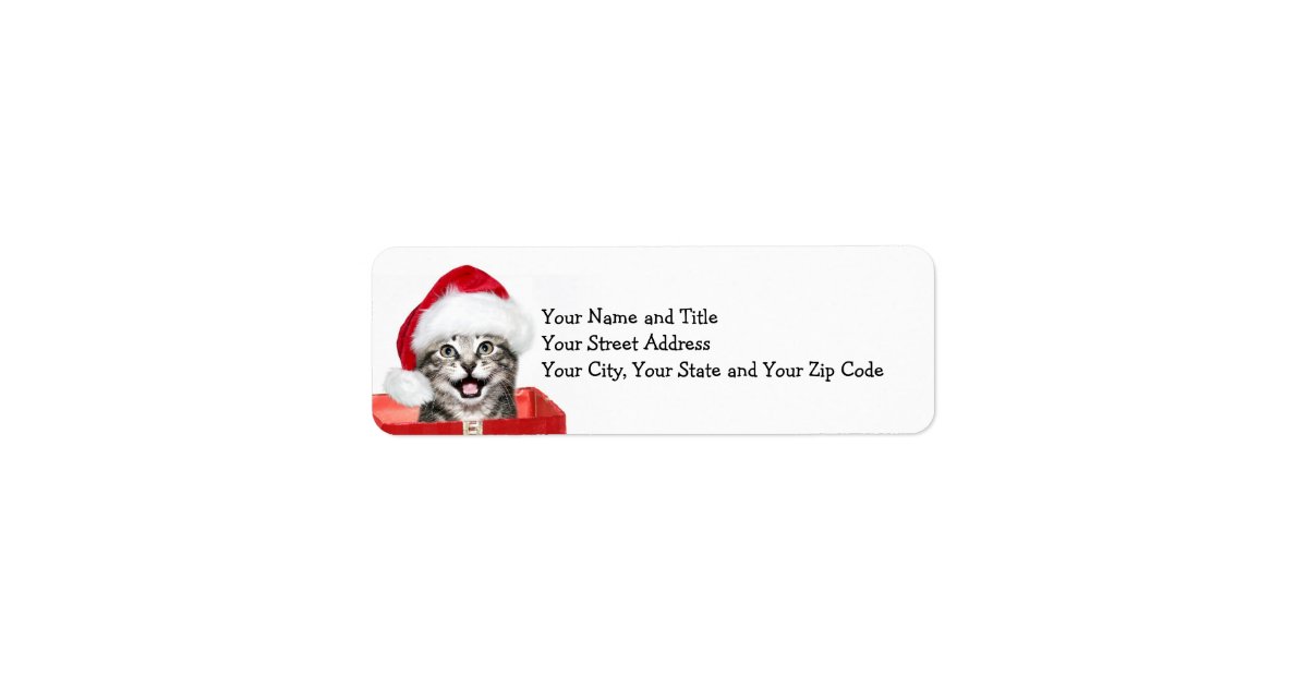 Christmas kitten label | Zazzle