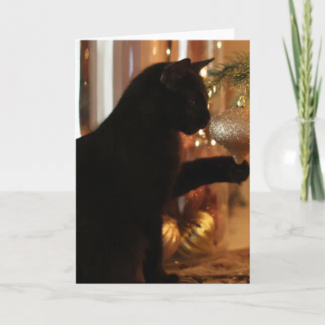 Christmas Kitten Notes, Black Cat/Gold Ornament Holiday Card | Zazzle