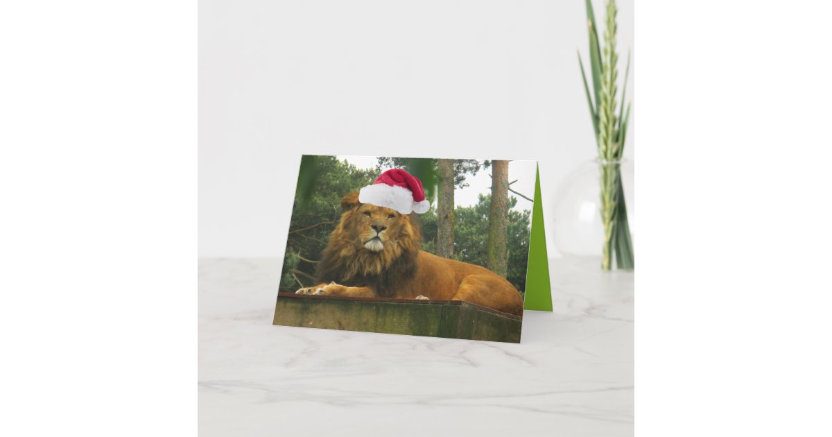 Christmas Lion Wearing Santa Hat Holiday Card | Zazzle