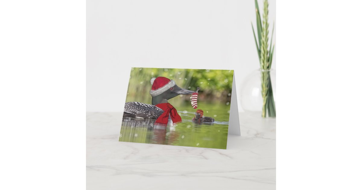 Christmas Loon and Chick Holiday Card | Zazzle