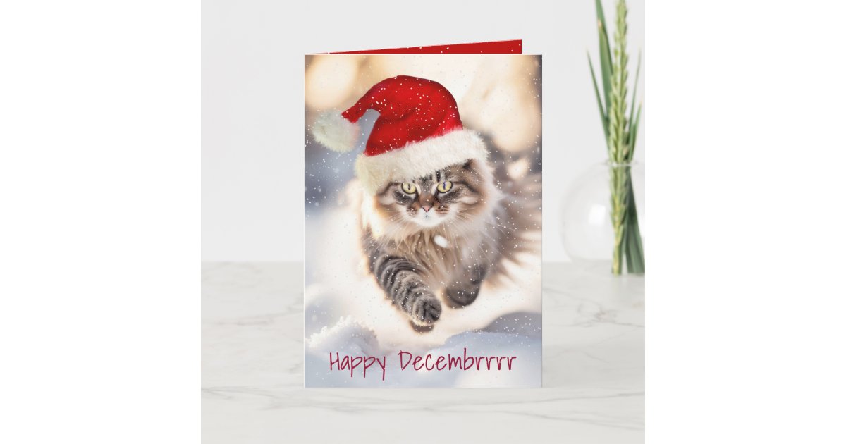 Christmas Maine Coon Cat In Snow Card | Zazzle