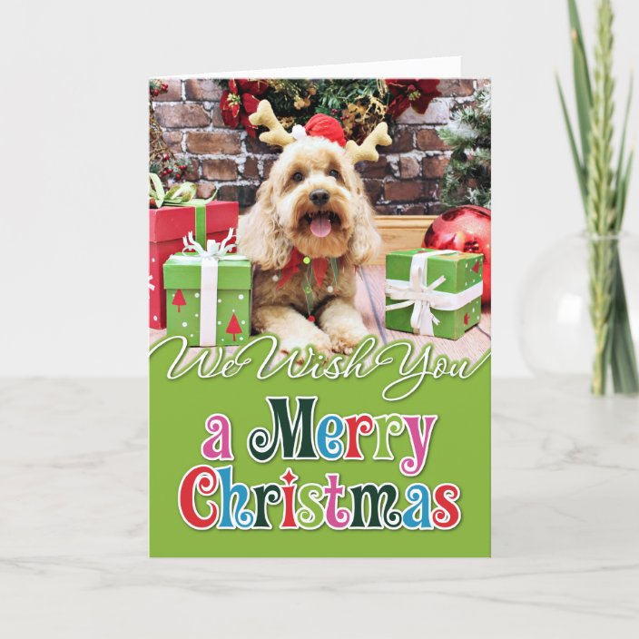 Christmas - Mini GoldenDoodle - Maggie Holiday Card | Zazzle.com