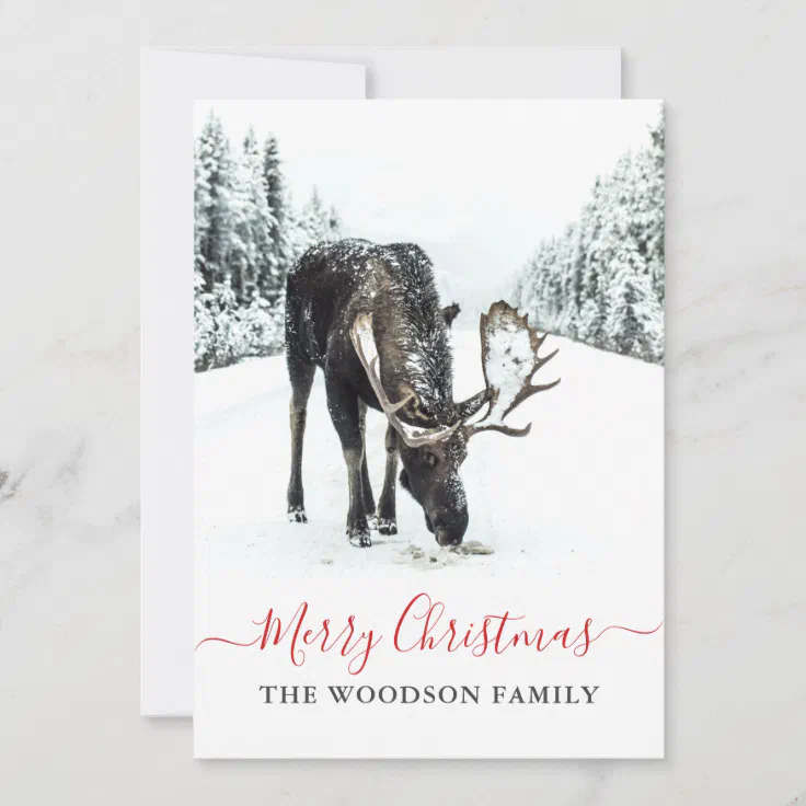 Christmas Moose Winter Snow Merry Christmas Holiday Card | Zazzle