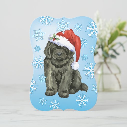 Christmas Newfoundland Holiday Card | Zazzle