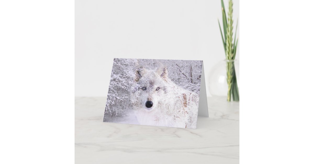 Christmas or winter wolf holiday card | Zazzle