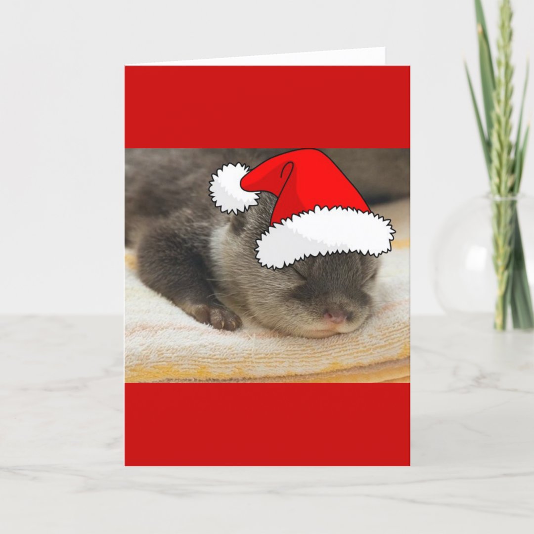 Christmas Otter Holiday Card | Zazzle