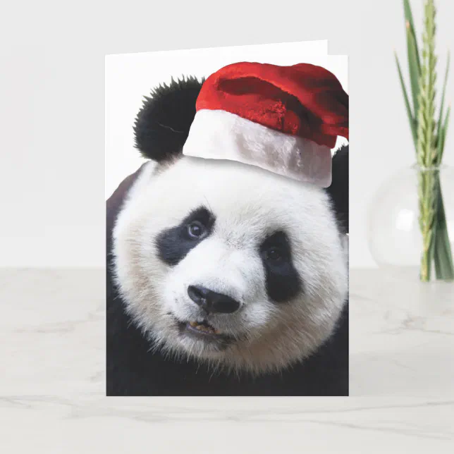 Christmas Panda Bear Holiday Card | Zazzle