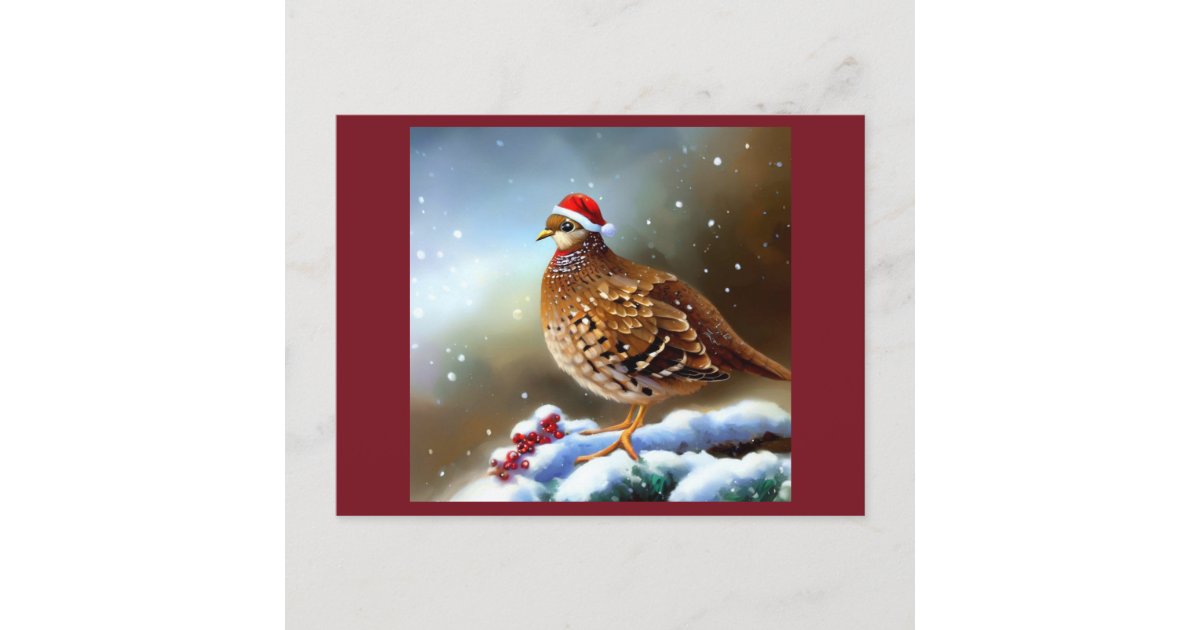 Christmas Partridge 2 Holiday Postcard | Zazzle