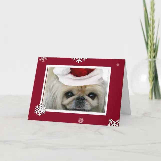 Christmas Pekingese greeting card | Zazzle