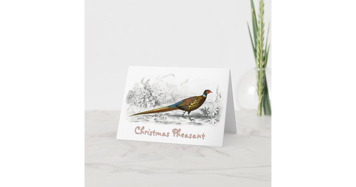 Christmas Pheasant - vintage art Folded Holiday Card | Zazzle
