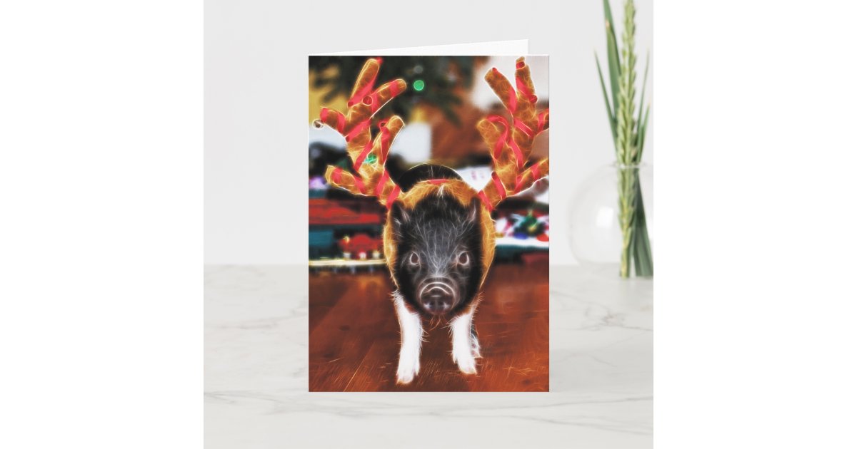 Christmas Pig Greeting Card | Zazzle