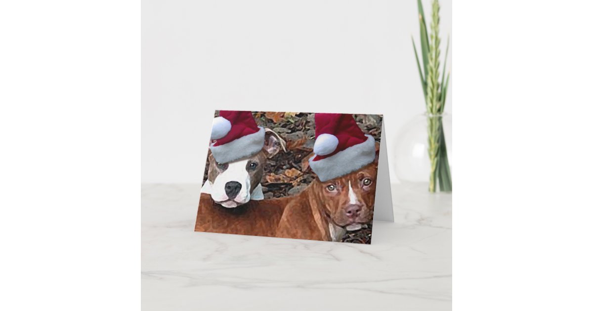 Christmas Pitbull Puppies Greeting Cards | Zazzle