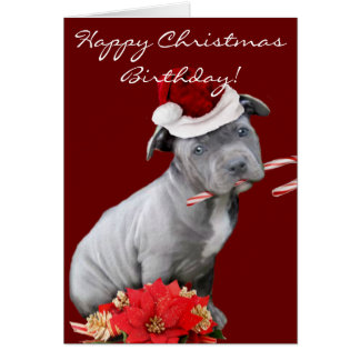 Pitbull Christmas Cards - Greeting & Photo Cards | Zazzle