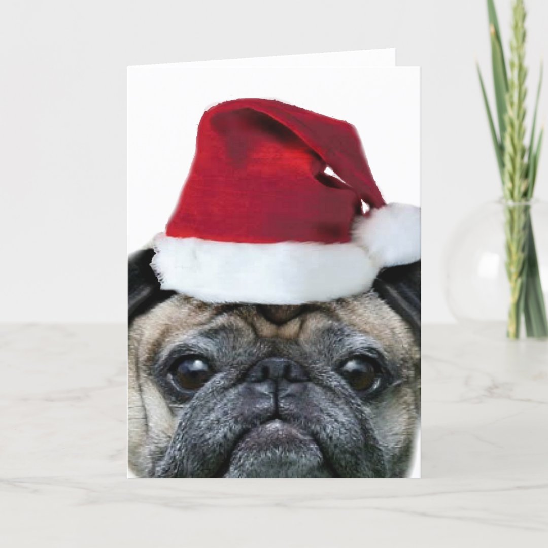 Christmas pug greeting card | Zazzle