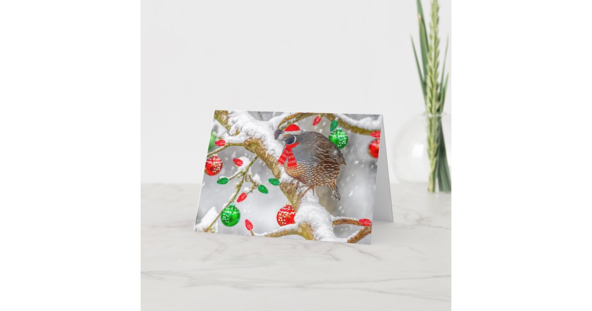 Christmas Quail Holiday Card | Zazzle