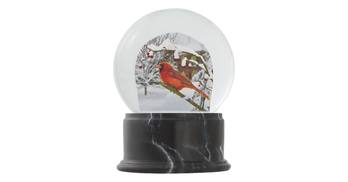 Christmas, Red Cardinal Bird and Snow Snow Globe | Zazzle