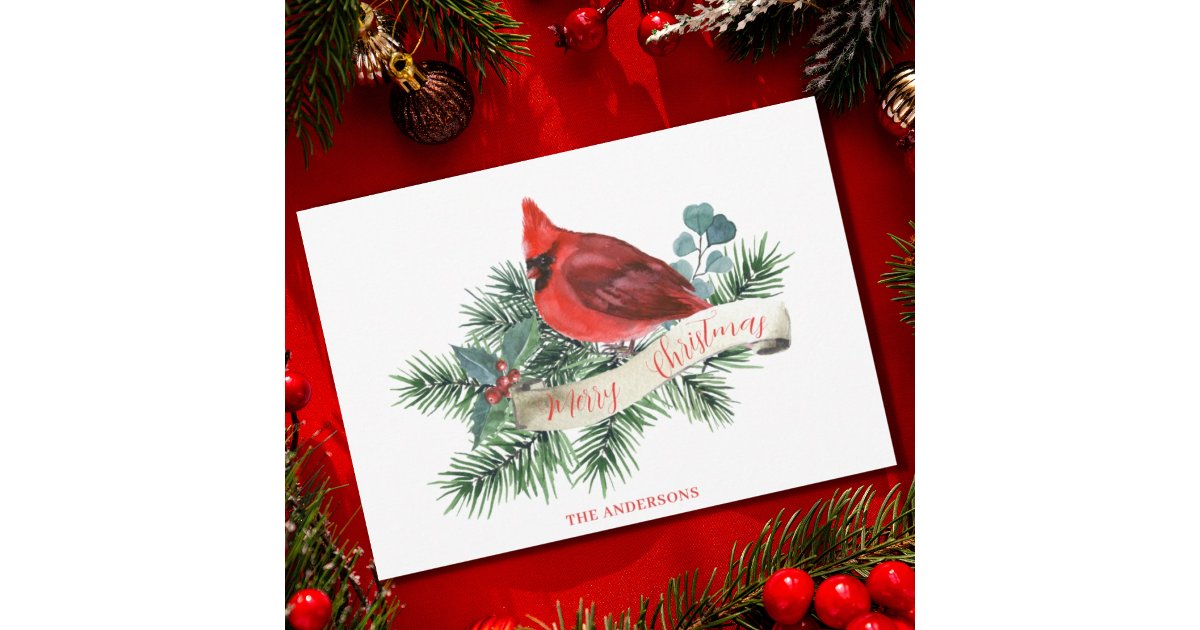 Christmas Red Cardinal Holiday Card | Zazzle