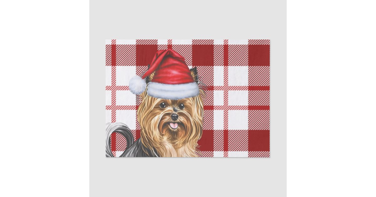 Christmas Red Plaid and Biewer Terrier Dog Tissue Paper | Zazzle