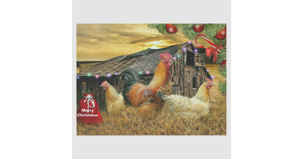 Christmas Rooster Hen Barn Coop Farm Tissue Paper | Zazzle