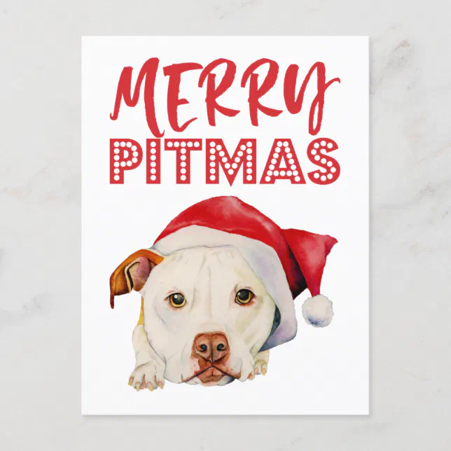 Christmas Santa Pit Bull Dog | Merry Pitmas Holiday Postcard | Zazzle