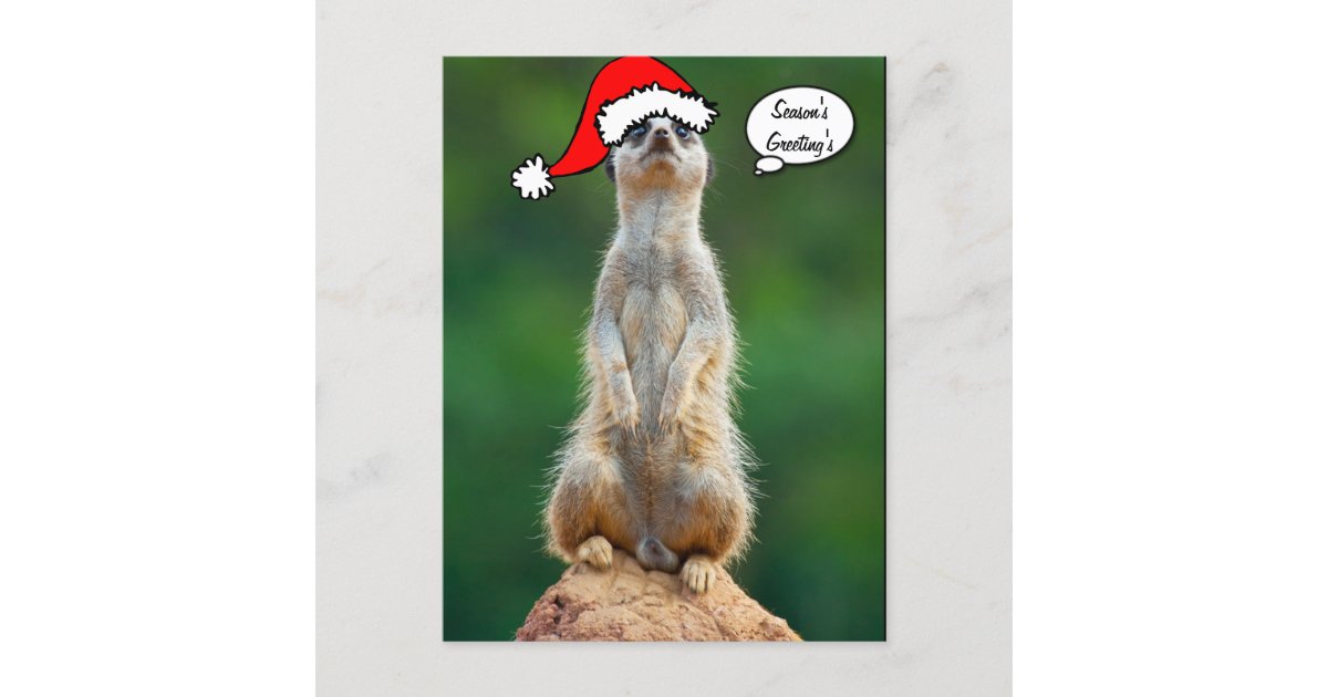 Christmas Santa prairie dog gopher postcard | Zazzle