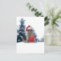 Christmas Santa Raccoon Bandit Holiday Postcard | Zazzle