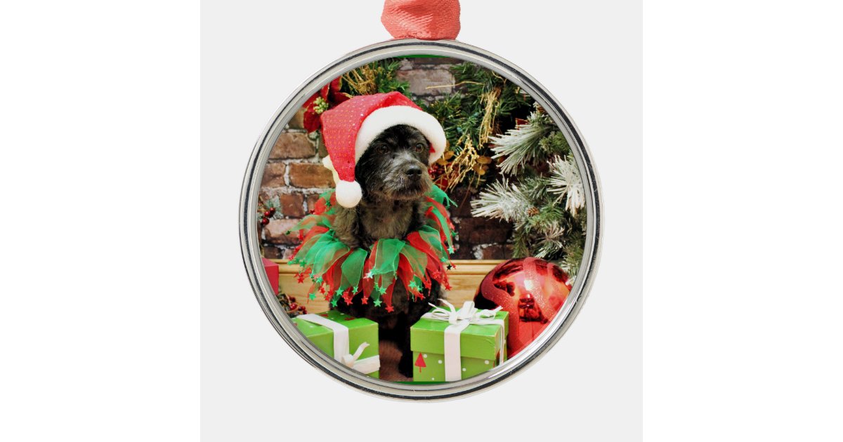 Christmas - Schnoodle - Rookie Metal Ornament | Zazzle